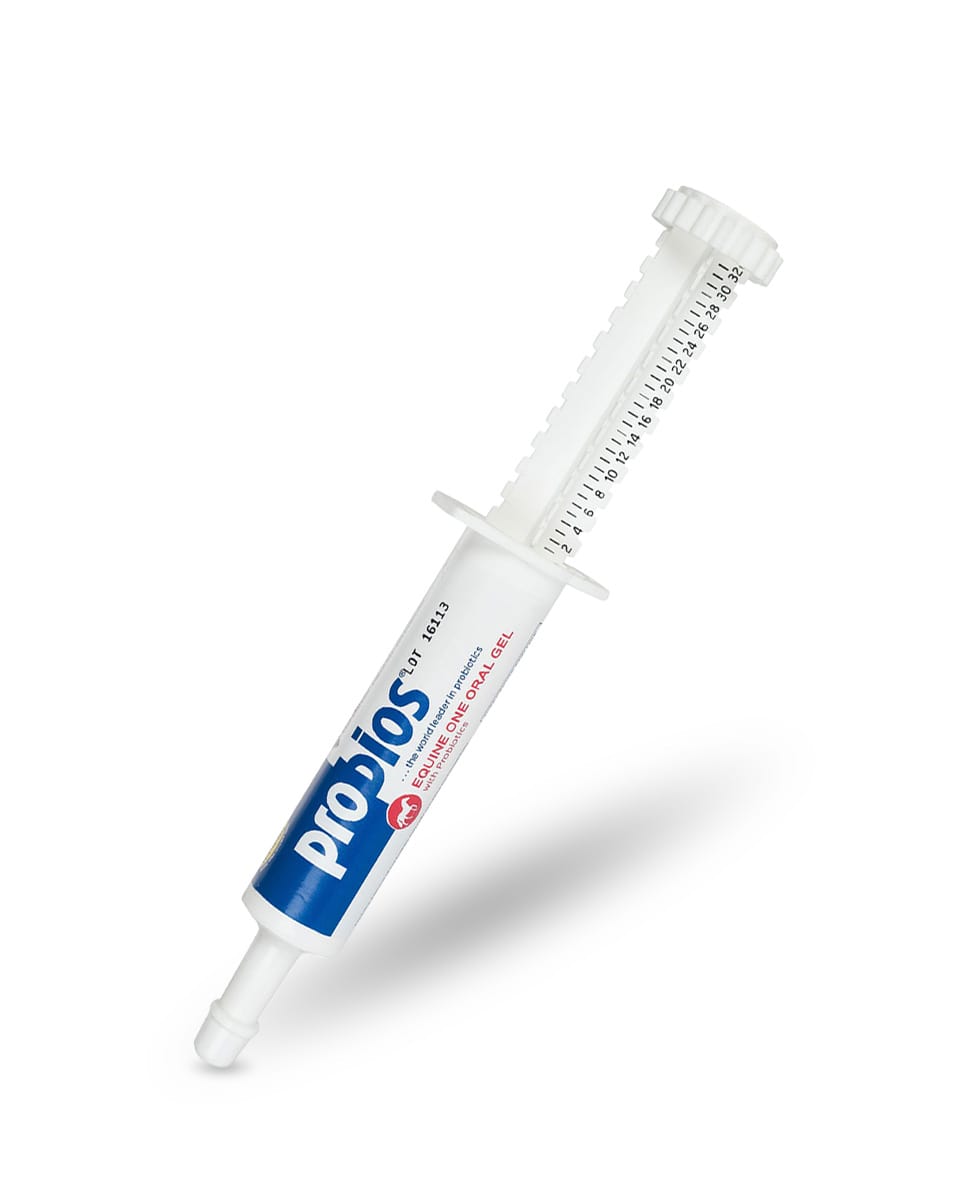 PROBIOS GEL – FVIMX