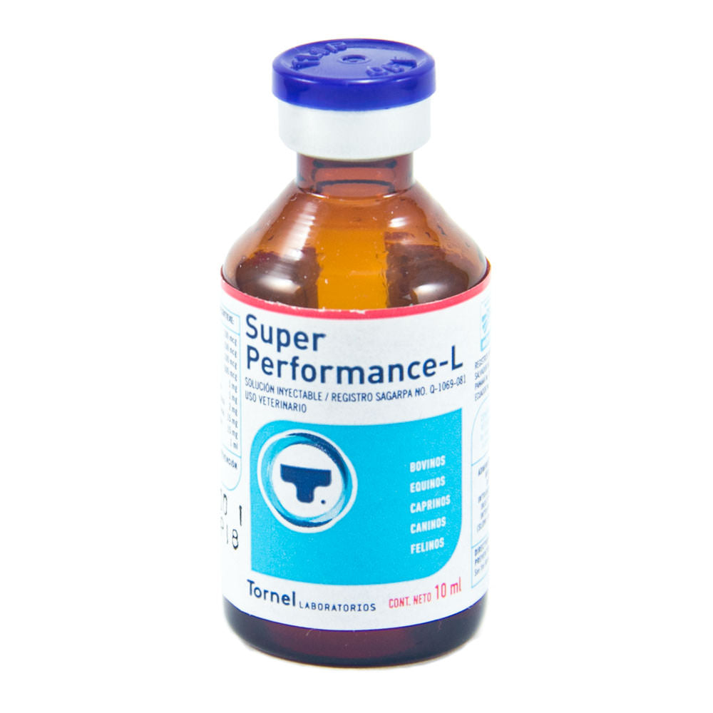 SUPER PERFORMANCE-L – FVIMX